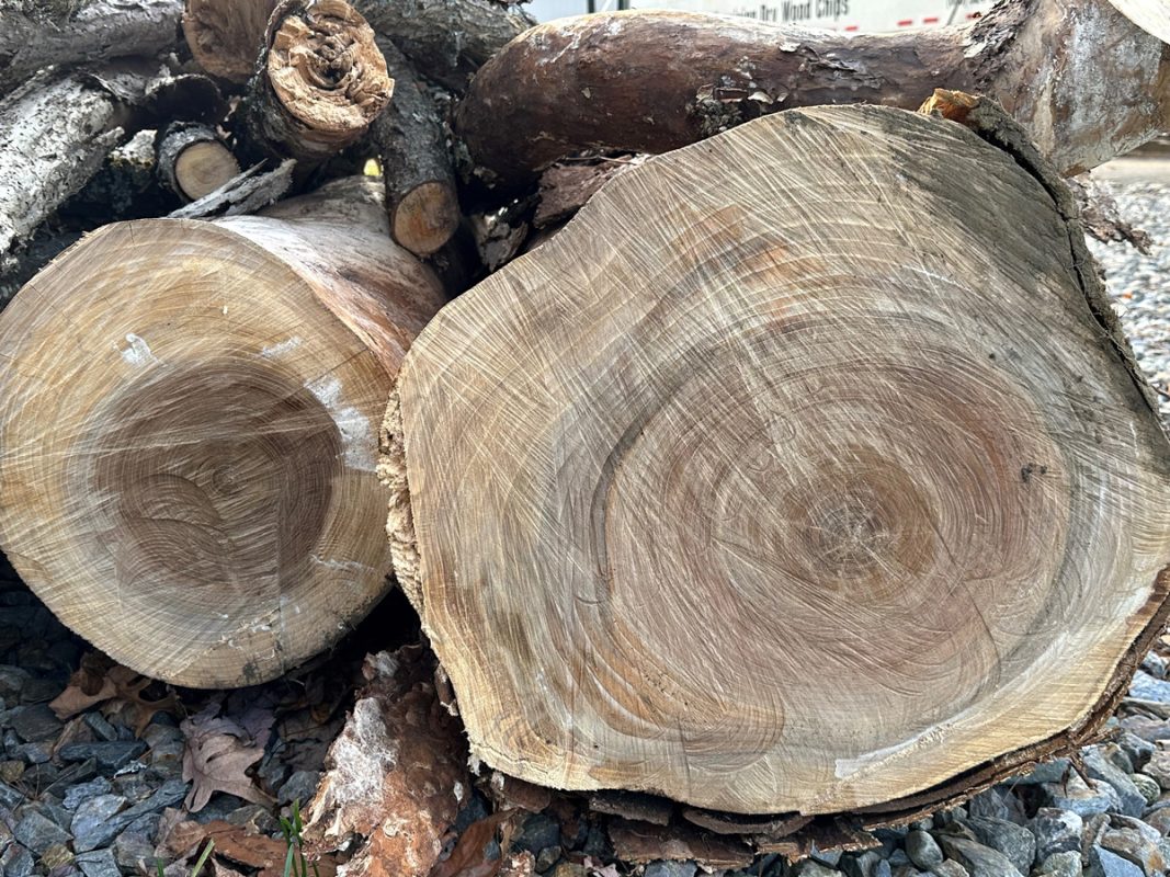 Wood Energy Initiative - MD Clean Energy