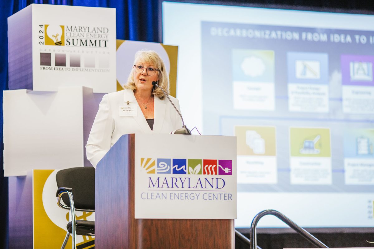Roles & Responsibilities and Committee Charges - MD Clean Energy